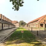 From Krakow: Wieliczka Salt Mine & Auschwitz Guided Trip - Who Might Want to Consider Alternatives