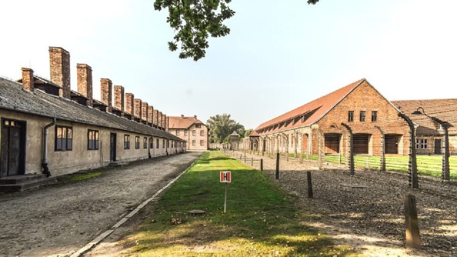 From Krakow: Wieliczka Salt Mine & Auschwitz Guided Trip - Who Might Want to Consider Alternatives