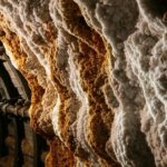 From Krakow: Wieliczka Salt Mine Guided Tour - The Highlights Inside the Salt Mine