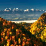 From Kraków: Witów Skiing and Zakopane Tour - The Sum Up