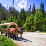 From Krakow: Zakopane and the Tatra Mountains Private Tour - Practical Tips for Travelers