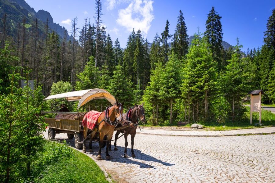 From Krakow: Zakopane and the Tatra Mountains Private Tour - Practical Tips for Travelers