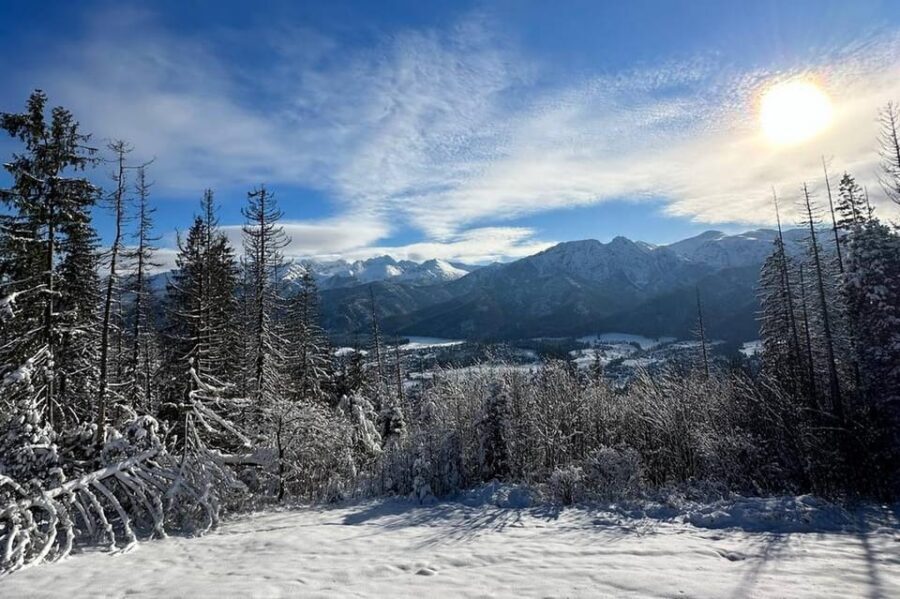 From Krakow: Zakopane Day Trip with Funicular & Food Tasting - The Experience: Why It Works Well