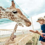 From Krakow: Zoo Trip with Private Luxury Transfer - Who Will Enjoy This Tour?