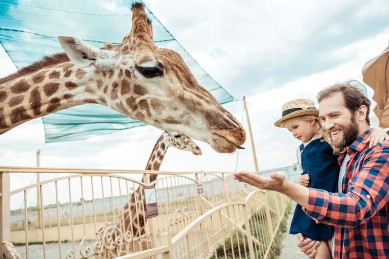 From Krakow: Zoo Trip with Private Luxury Transfer - Who Will Enjoy This Tour?