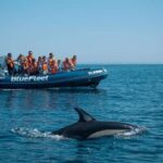 From Lagos: Dolphin Watching Boat Trip w/ Marine Biologists - The Boat and Crew