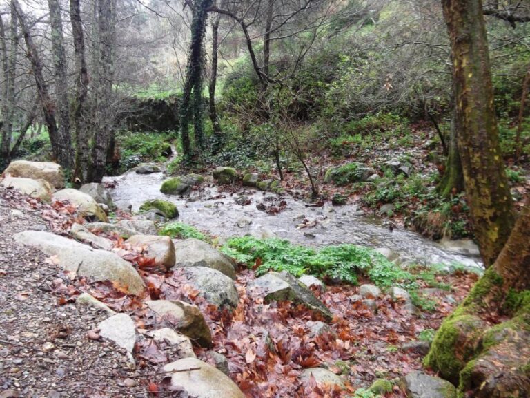 From Lagos: Monchique Private Guided Hike + Medronho Tasting - Exploring the Charming Monchique Village
