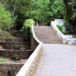 From Lagos: Private Tour with Medronho Tasting - What to Expect: A Closer Look at the Itinerary