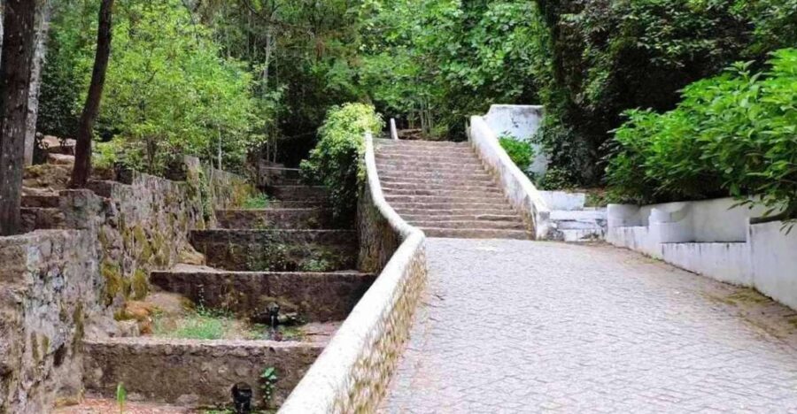 From Lagos: Private Tour with Medronho Tasting - What to Expect: A Closer Look at the Itinerary