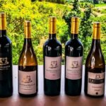 From Lagos: Small-Group 4-Hour Wine Tasting Tour - The Overall Experience