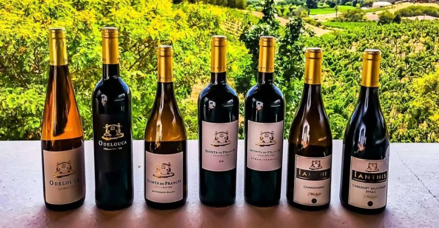 From Lagos: Small-Group 4-Hour Wine Tasting Tour - The Overall Experience