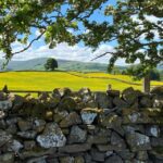 From Lake District: Full-Day Yorkshire Dales Tour - Pricing and Value