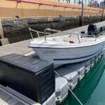 From las Palmas : Day sailing experience along the coast - FAQ