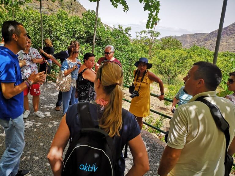 From Las Palmas: Full-Day Tour of the North - A Deep Dive into the Experience