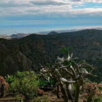 From Las Palmas: Half day tour Volcano Bandama & Vineyard - What to Expect from Your Experience