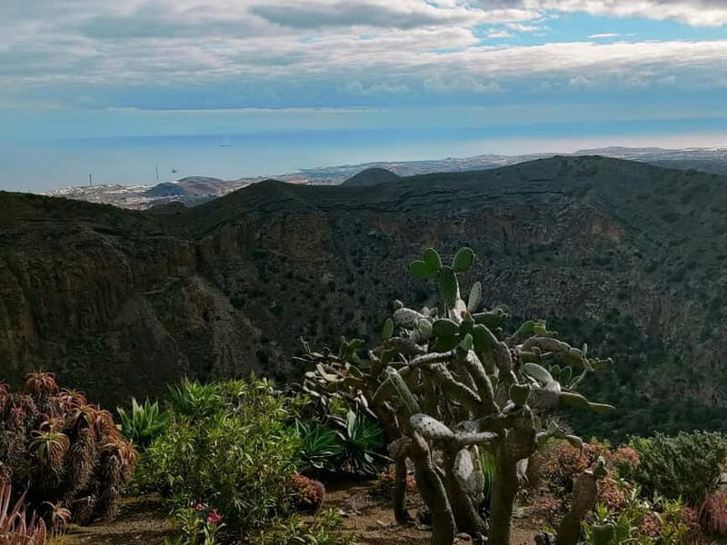 From Las Palmas: Half day tour Volcano Bandama & Vineyard - What to Expect from Your Experience