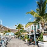 From Las Palmas: Highlights of Gran Canaria Day Tour - Authentic Experiences and Top-Reviewed Highlights