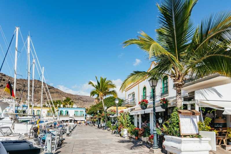 From Las Palmas: Highlights of Gran Canaria Day Tour - Authentic Experiences and Top-Reviewed Highlights