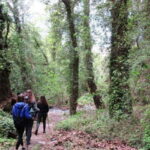 From Lasithi: Richtis Gorge - What makes this tour stand out?