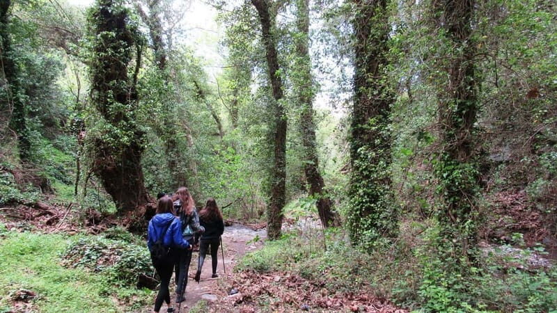 From Lasithi: Richtis Gorge - What makes this tour stand out?