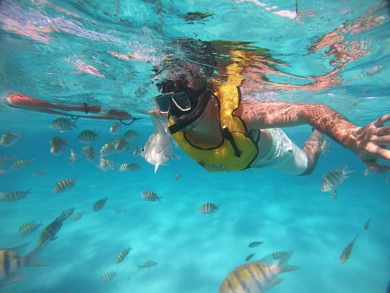 FROM LATCHI: Blue Lagoon Akamas Cruise - large water slide - Who Will Love This Tour?