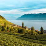 From Lausanne: Montreux, Chaplin, and Chillon Castle Tour - The Itinerary: A Closer Look at What You’ll Experience