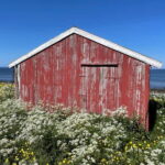 From Leknes: Lofoten Sightseeing Tour - The Sum Up: Is It Worth It?