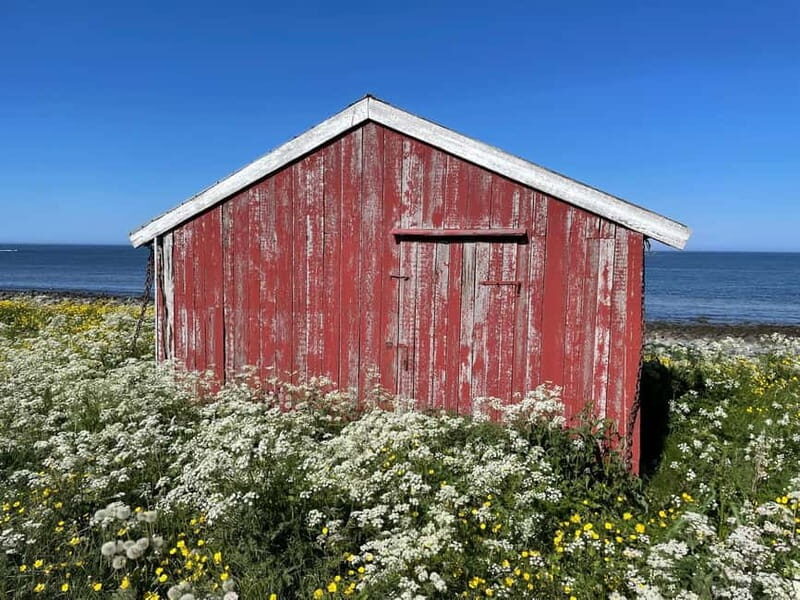 From Leknes: Lofoten Sightseeing Tour - The Sum Up: Is It Worth It?