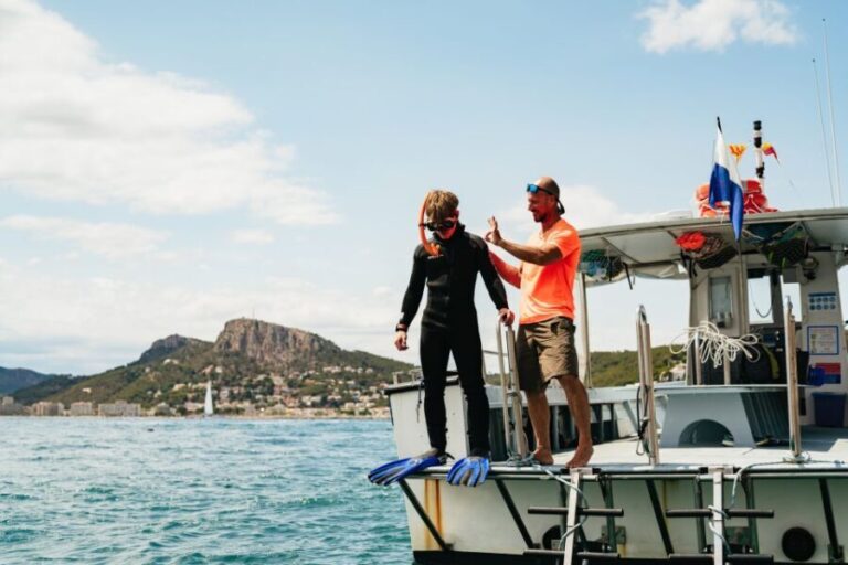 From LEstartit: Snorkeling Trip to the Medes Islands - What to Expect in Practice