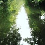 From Lilienthal: Full-Day Canoe Rental that Ends in Bremen - Discovering the Wümme River: What Makes This Canoe Experience Special?