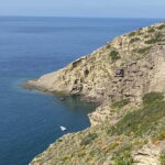 From Lipari: Boat Tour to Salina with Stops - The Practical Details: What to Know Before You Book