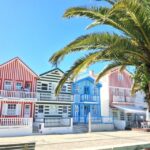 From Lisbon: Aveiro, Moliceiro Boat and Coimbra Tour - Transition to Coimbra: Portugal’s Ancient University Town