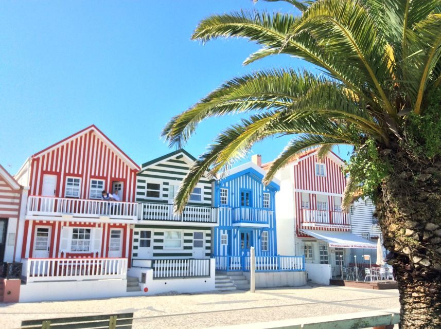 From Lisbon: Aveiro, Moliceiro Boat and Coimbra Tour - Transition to Coimbra: Portugal’s Ancient University Town