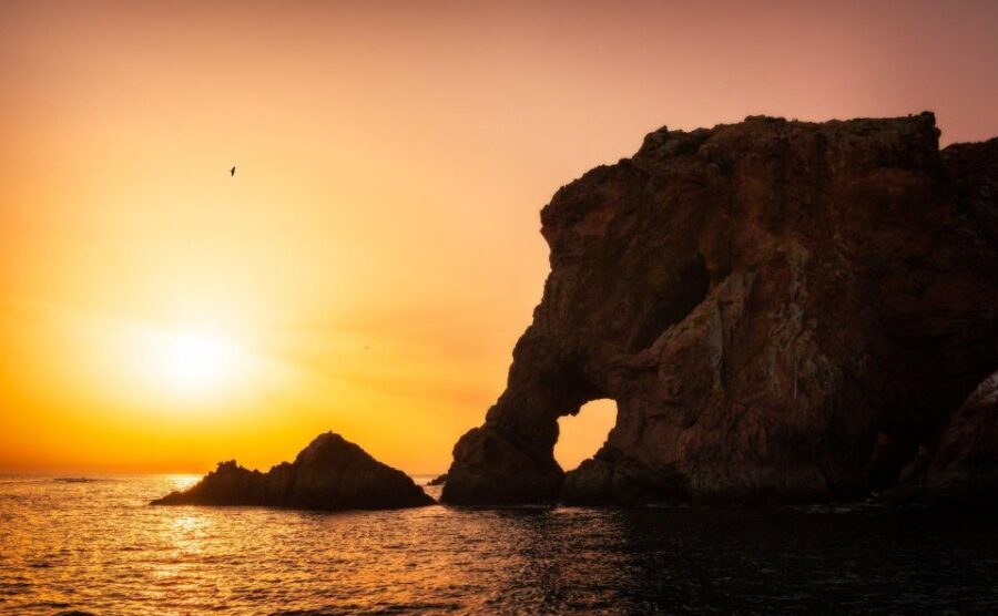 From Lisbon: Berlenga Grande Island Private Tour - What Makes This Tour Stand Out