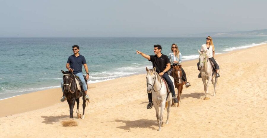 From Lisbon: Comporta and Setúbal Trip with Horseback Riding - What to Expect at Each Stop