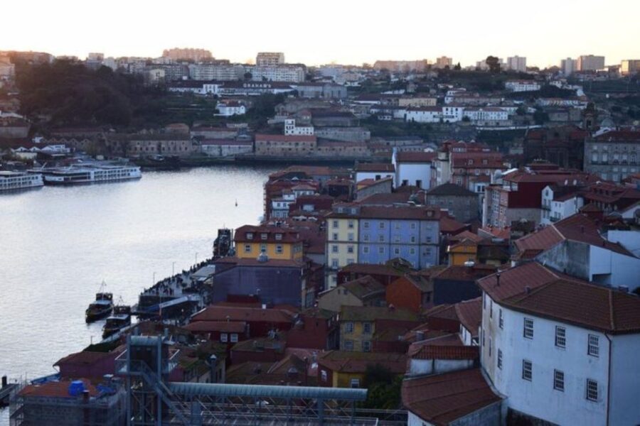 From Lisbon: Douro Valley and Porto Town Experience - Port Wine Tasting in the Douro Valley