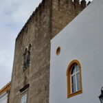 From Lisbon: Évora, Vila Viçosa, and Wine Cellars Day Trip - What Travelers Are Saying
