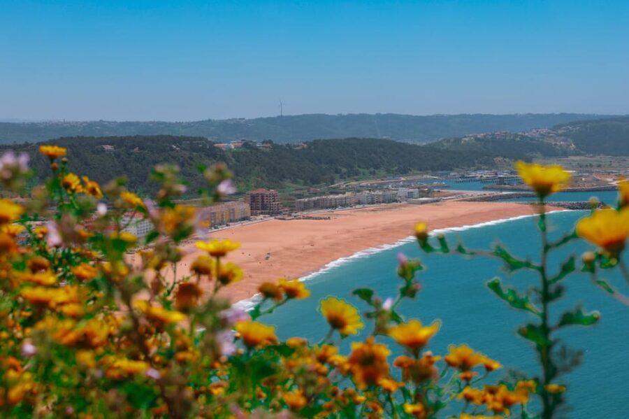 From Lisbon: Fátima, Nazaré & Sintra  3 Cities Guided Tour - Authentic Experiences & Practical Insights