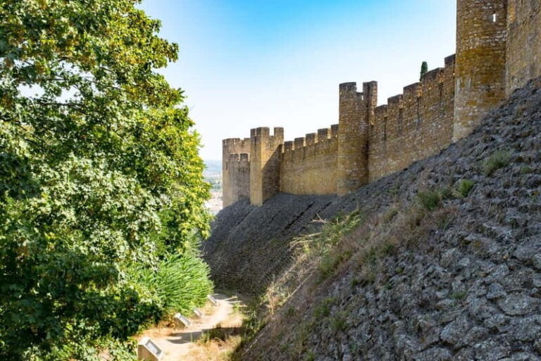 From Lisbon: Knights Templar Day Tour in Tomar - Transportation & Group Dynamics