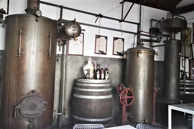 From Lisbon: Palmela-Setúbal Wine Tasting Tour (40kms of Lisbon) - How the Tour Works: Practical Details
