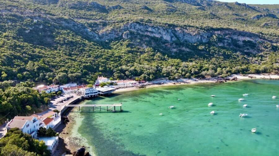 From Lisbon: Private Full-Day Trip Serra da Arrábida, Sesimbra Setúbal - What Makes This Tour Stand Out?