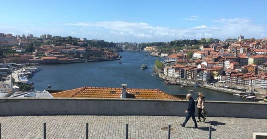From Lisbon: Private Porto Sightseeing Tour - Comfortable, Private Transportation
