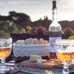 From Lisbon: Private Wine Tour with Wine & Cheese Tasting - Practicalities & Value