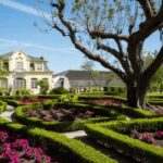 From Lisbon: Serra da Arrábida and Setúbal Wines - Wine Tasting at José Maria da Fonseca Winery