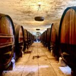 From Lisbon: Setúbal & Arrábida Wine Tour with Lunch - What We Think About the Value