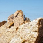 From Lisbon: Sintra-Cascais Natural Park Rock Climbing Tour - Who Will Enjoy This Tour?