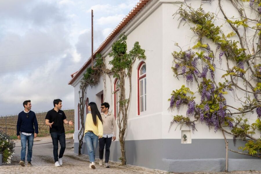 From Lisbon: Sintra & Pena Palace Day Trip with Wine Tasting - The Value and Practical Considerations