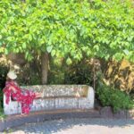From Lisbon: Sintra, Regaleira and Pena Palace Guided Tour - Transportation and Group Size: What It Means for You