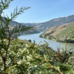 From Lisbon to Douro Valley with Stops up to 3 Cities - Itinerary Breakdown