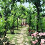From Livorno: Authentic italian Pasta Cooking Class - A Deep Dive into the Experience